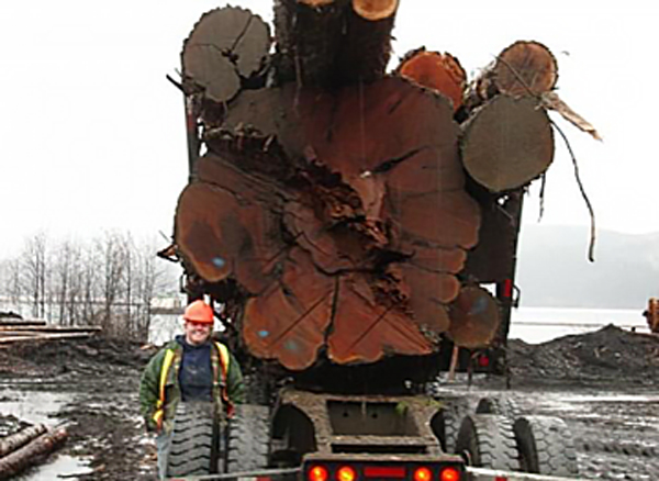 Meet Jill Telosky: Log Truck Driver | Supply Post - Canada's #1 Heavy ...